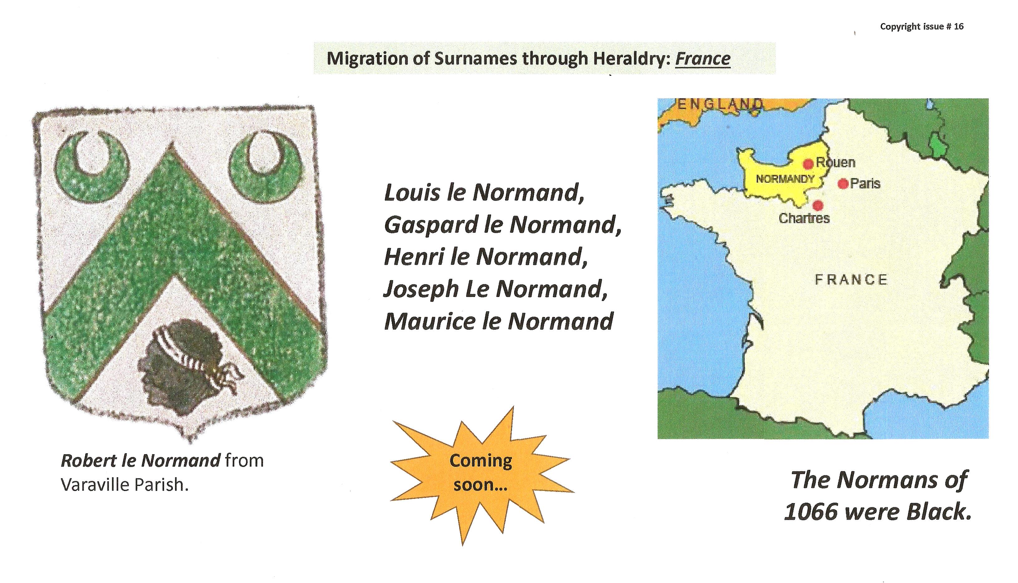 YES…The Normans of 1066 Were Black! – Missing Faces In Teaching (MFIT)